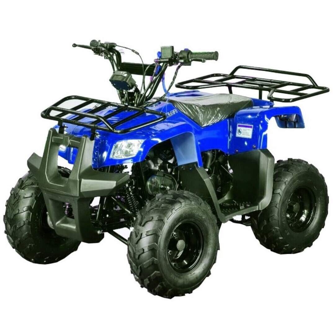 Купить квадроцикл Motoland Rider 110 за 1100 $, новый, 2024 г., 110 см ...